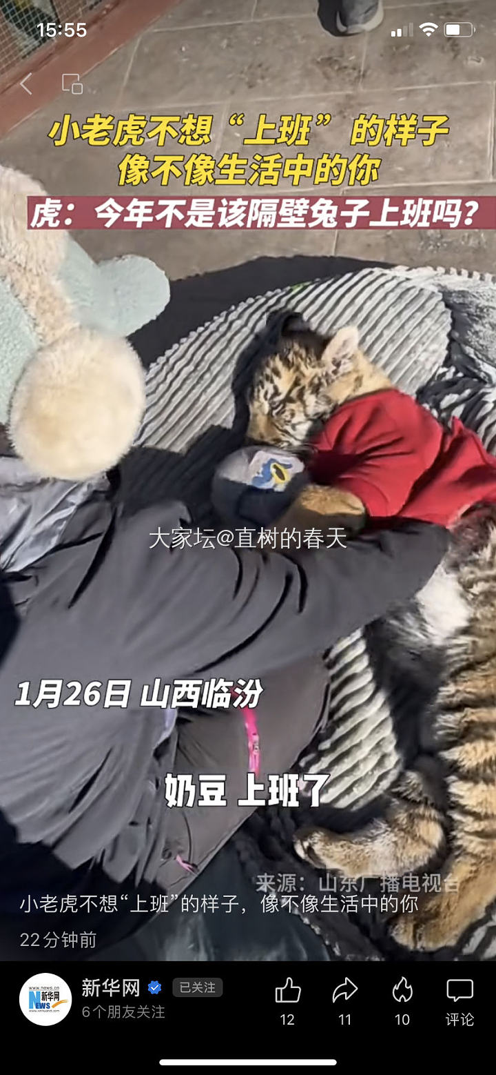 明天就要上班了💼工作生活闲聊珠宝大家坛